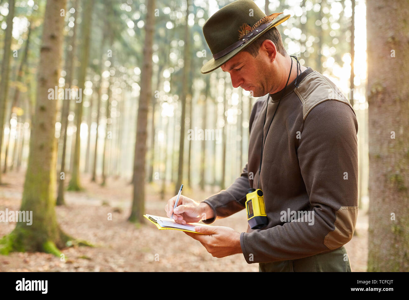 Foresters or foresters with checklist at the inventory in the forest or ...