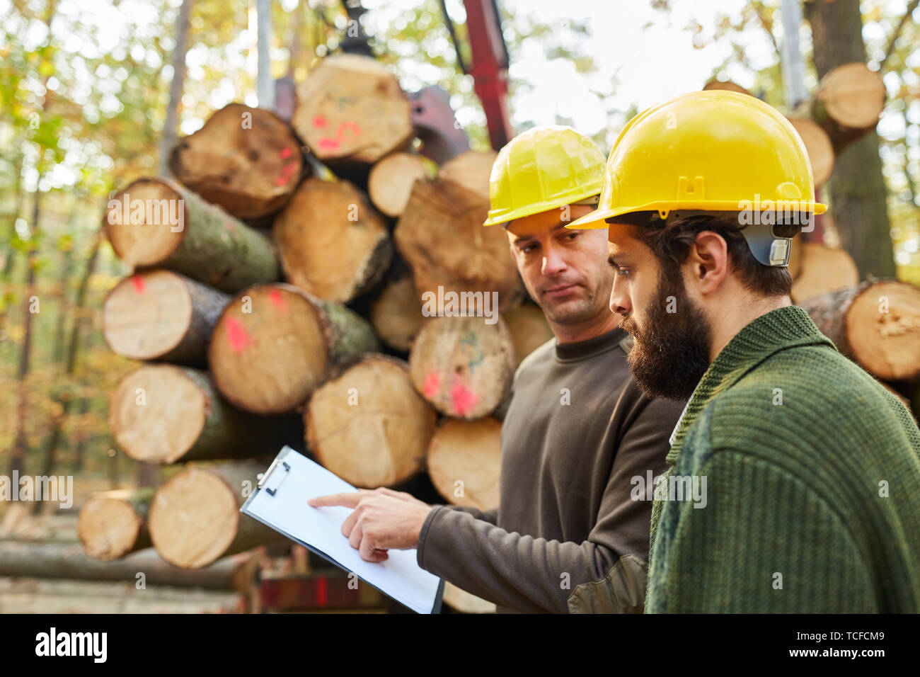 Two lumberjacks with checklist discuss lumber transport after ...