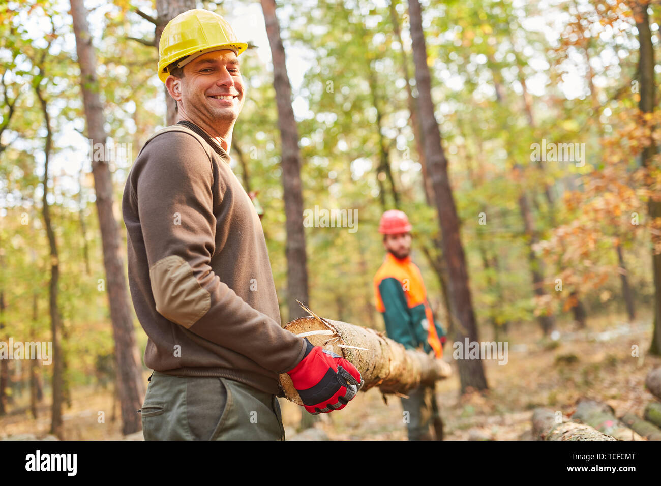 Carry tree hi-res stock photography and images - Alamy