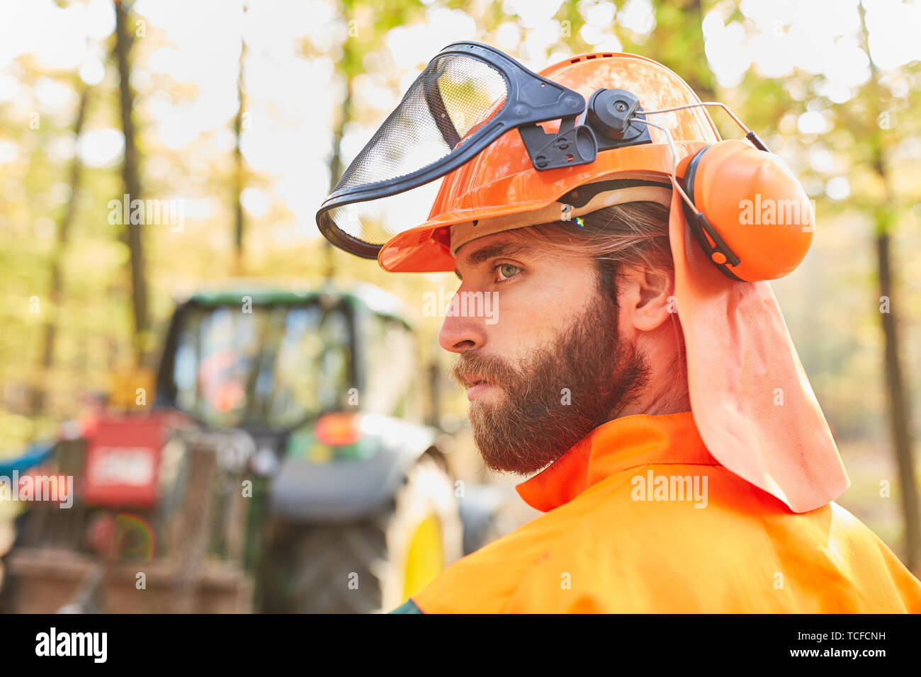 Forest farmer as a woodcutter in protective gear during the harvesting ...