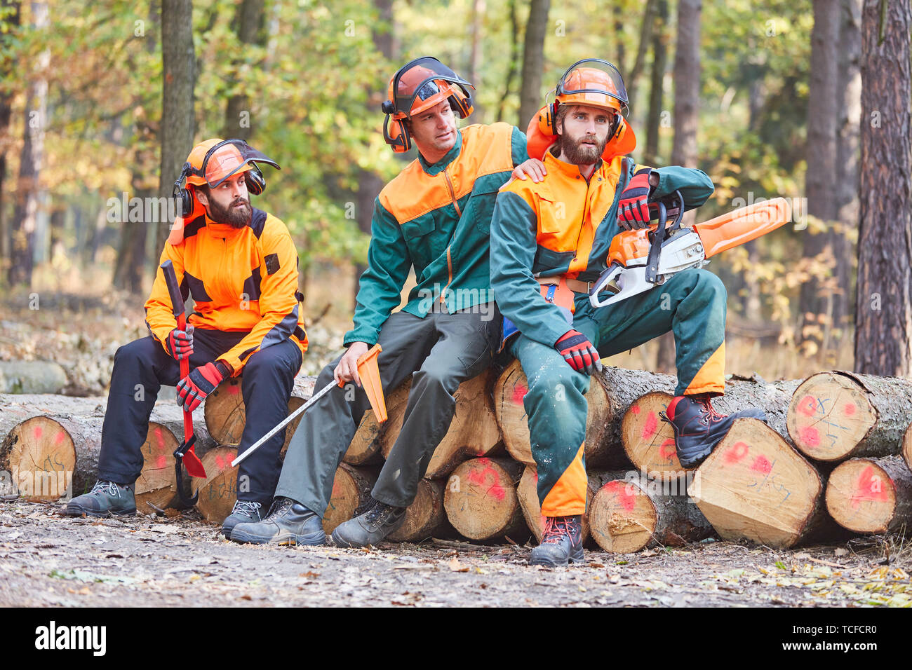 Group of foresters at break of forest work in the forest sits on felled ...