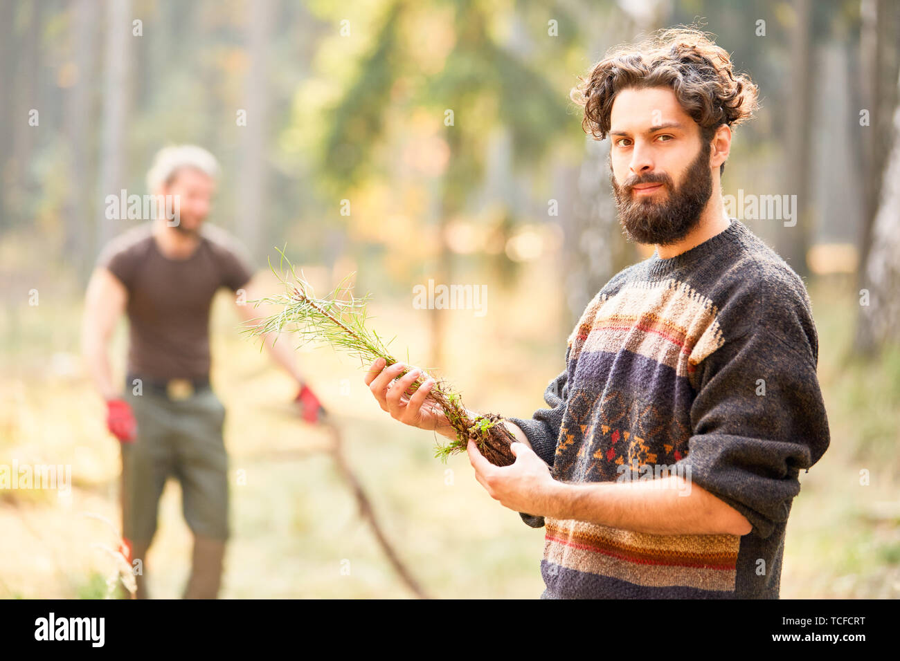 Forestry or forest worker at the pine tree plant for nature ...