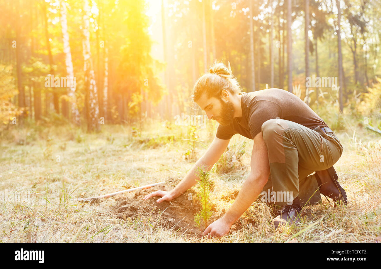 Young man in the forest at the tree planting for sustainability and ...