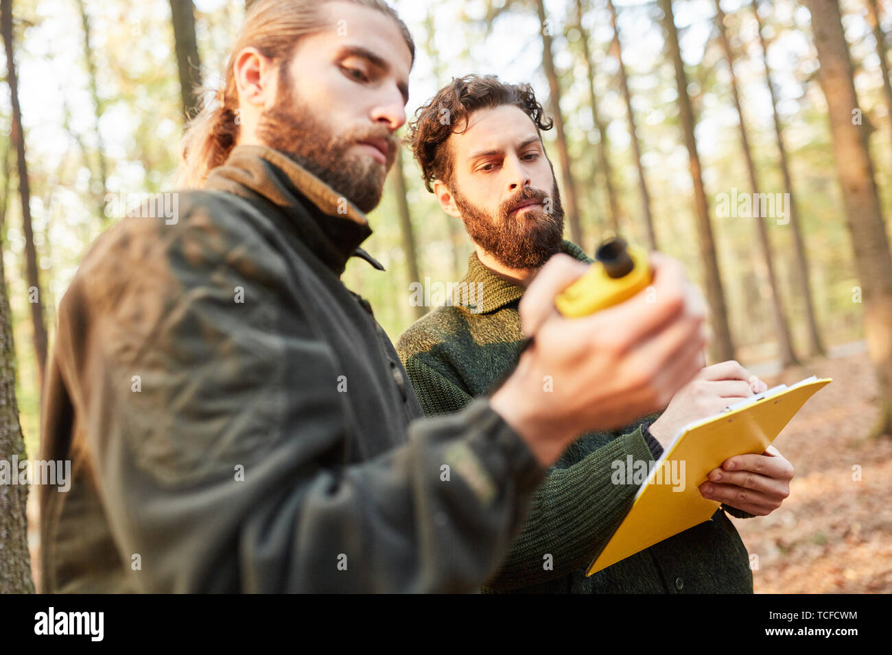 Forester team determines tree height with the rangefinder in the forest ...