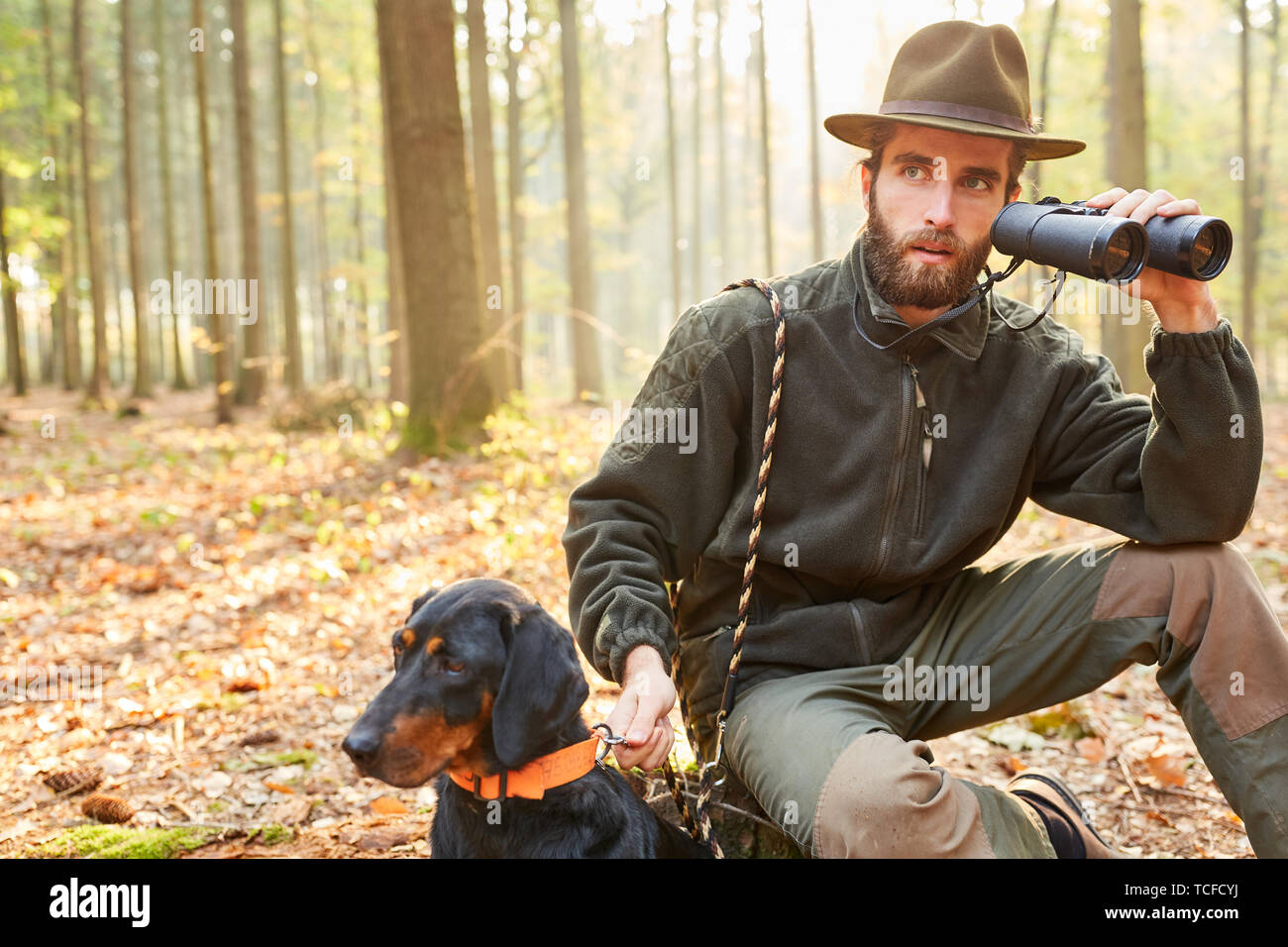 Hunting in the forest hi-res stock photography and images - Alamy