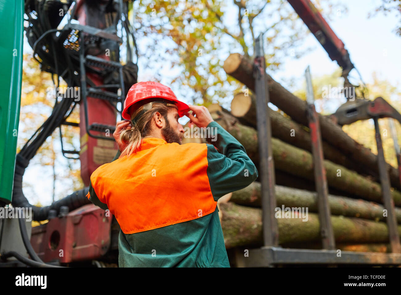 Young forest worker at the forwarder while loading and transporting ...