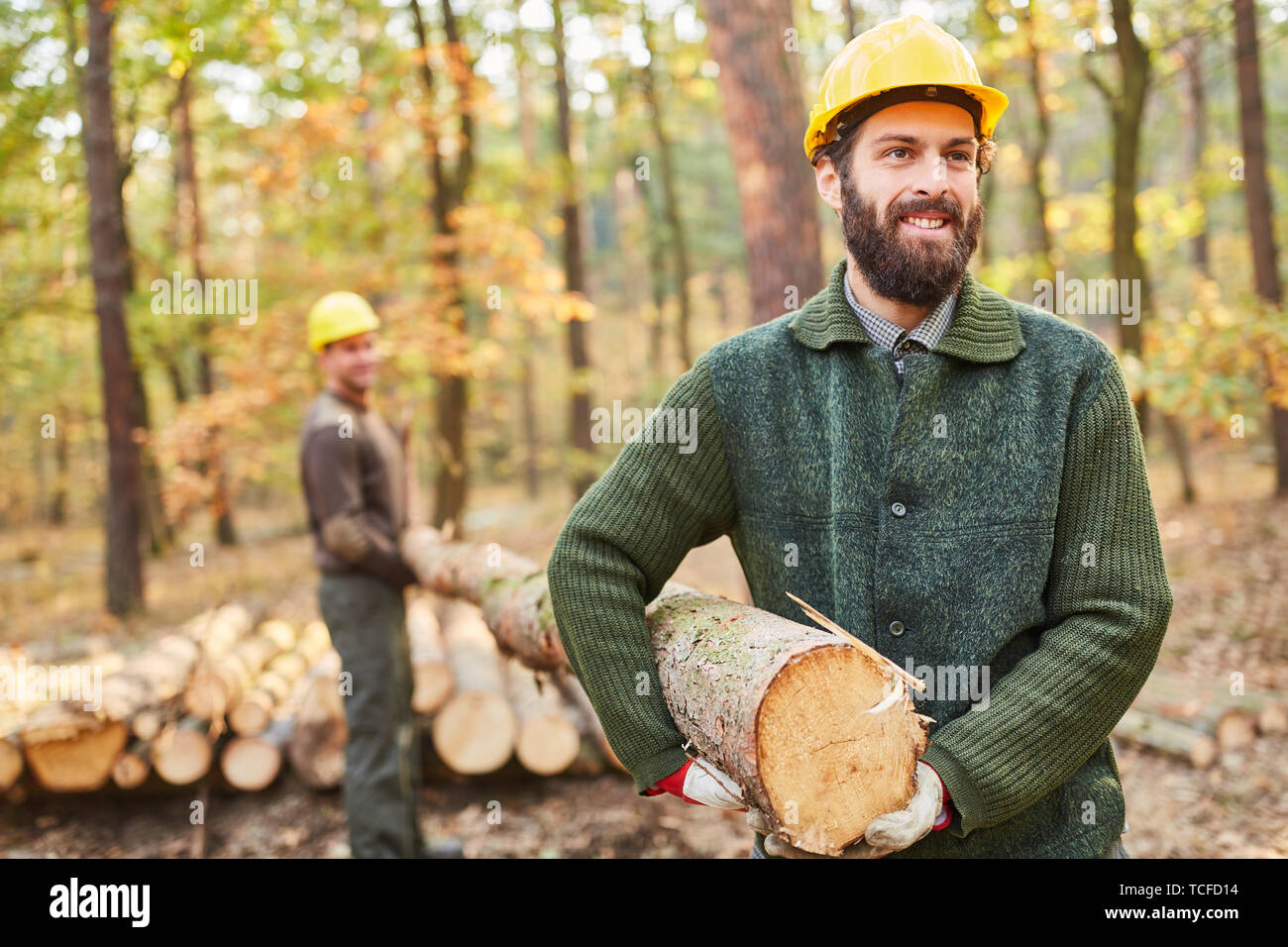 Worker tree hi-res stock photography and images - Alamy