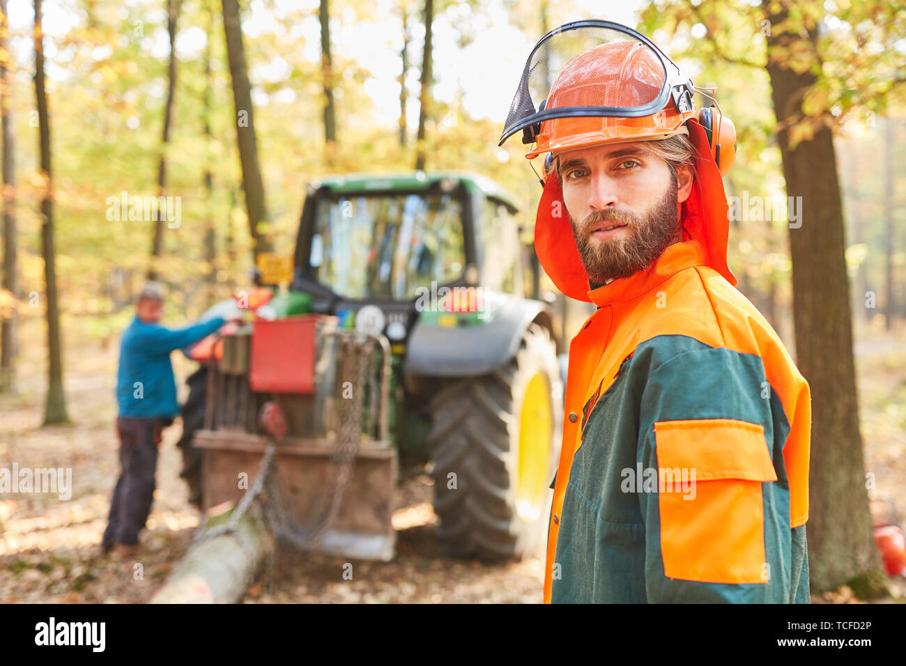 Forest workers in protective clothing at the wooden back with the ...