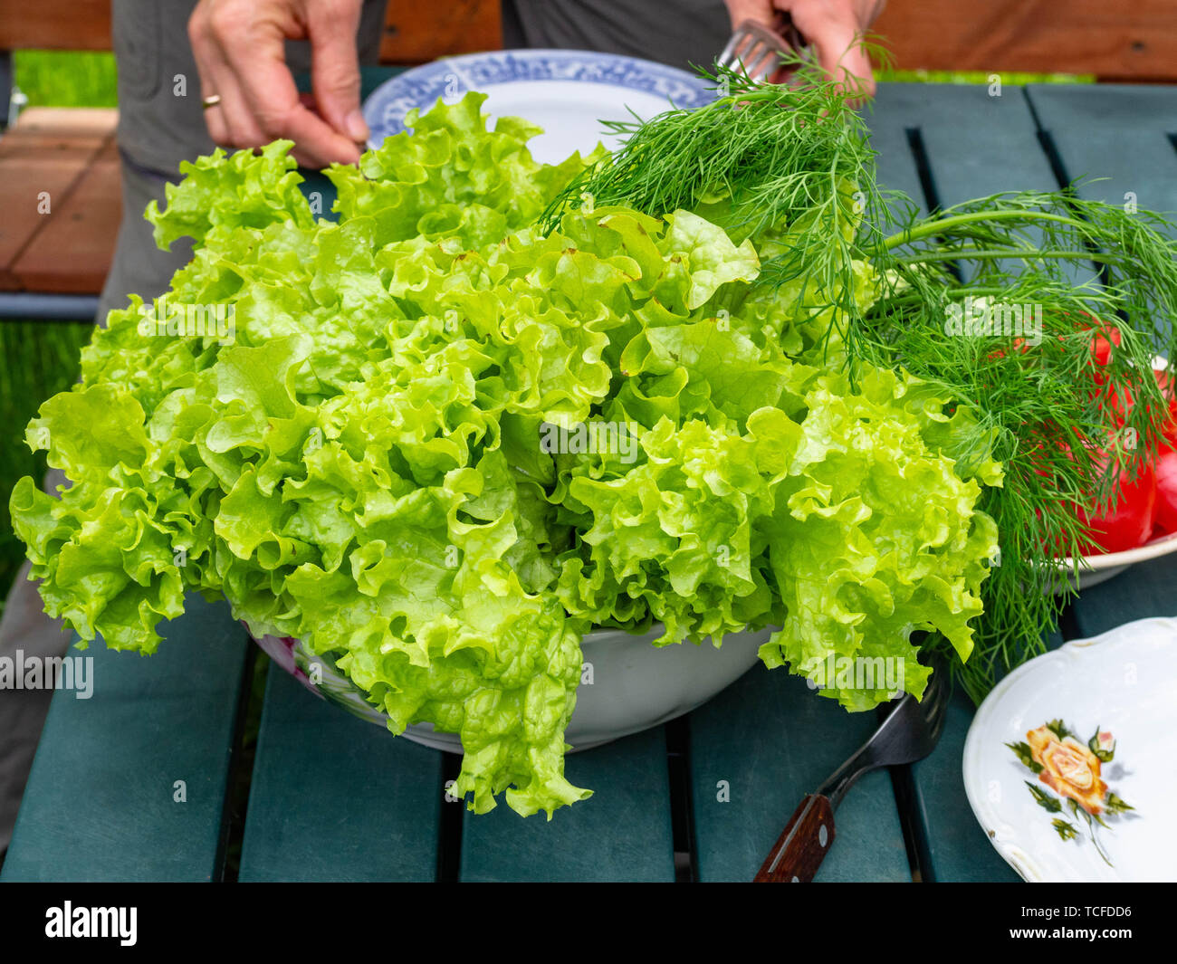 Green leaf background hand put hi-res stock photography and images - Alamy