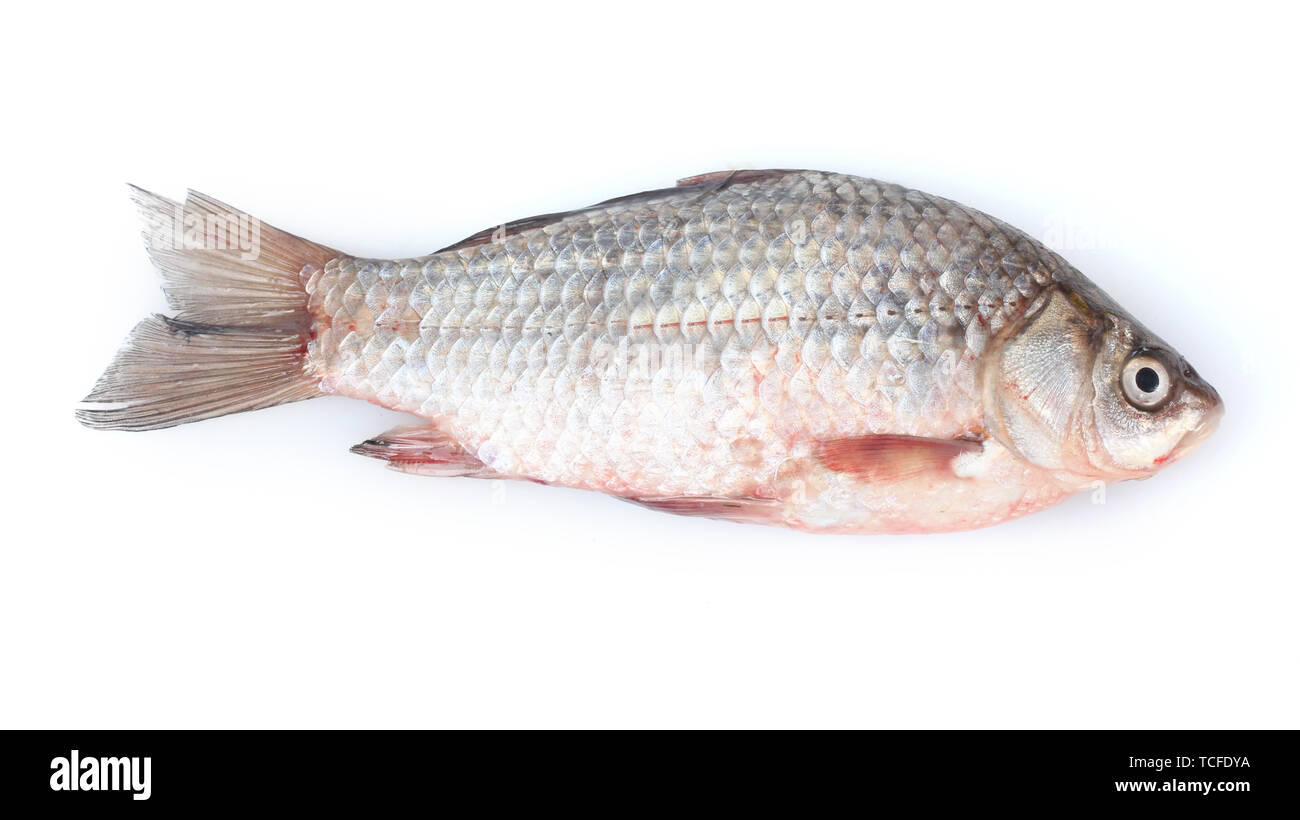 Fresh fish isolated on white Stock Photo - Alamy