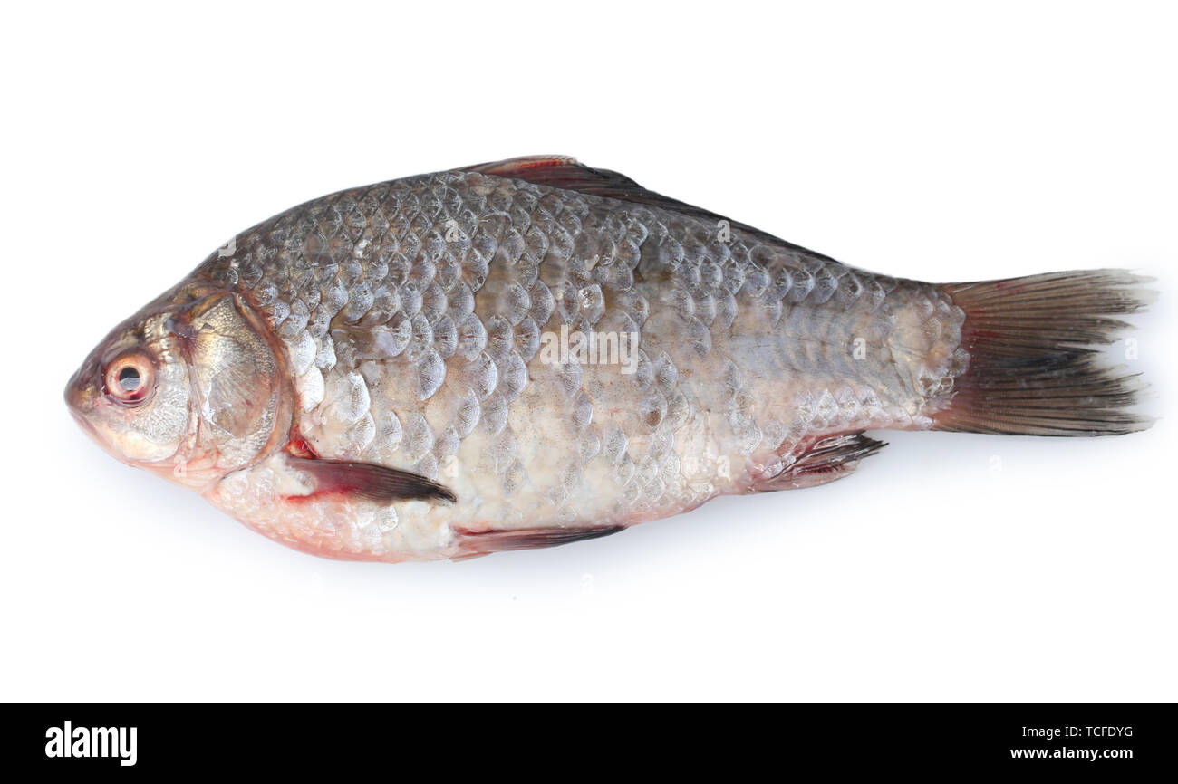 Fresh fish isolated on white Stock Photo - Alamy