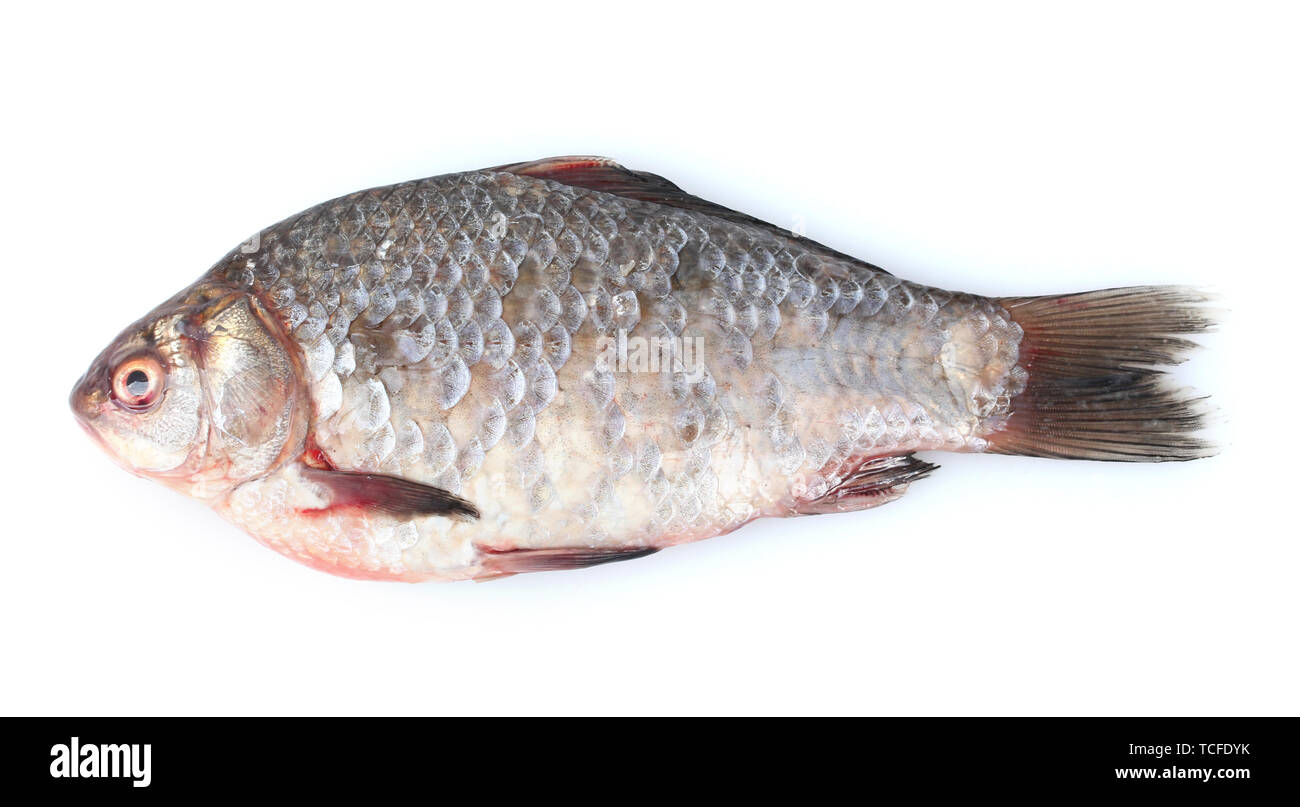 Fresh fish isolated on white Stock Photo - Alamy