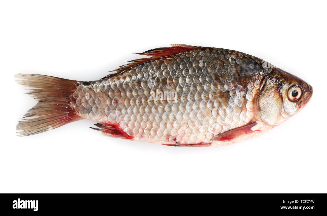 Fresh fish isolated on white Stock Photo - Alamy