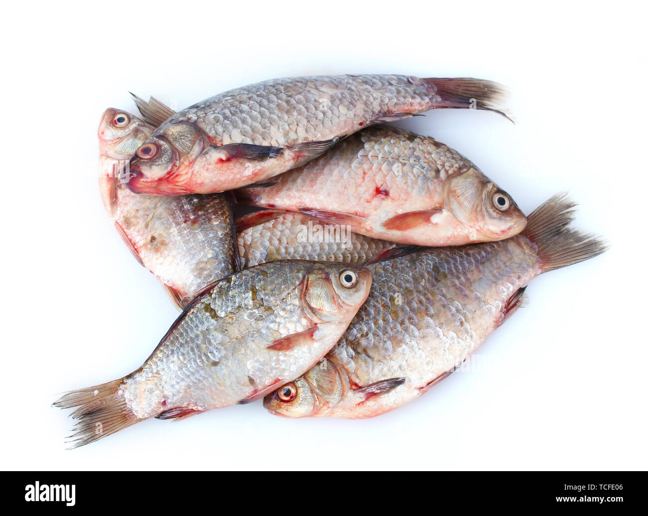 Fresh fishes isolated on white Stock Photo - Alamy