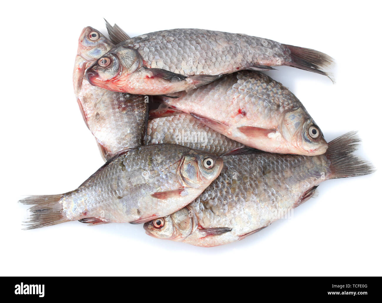 Fresh fishes isolated on white Stock Photo - Alamy