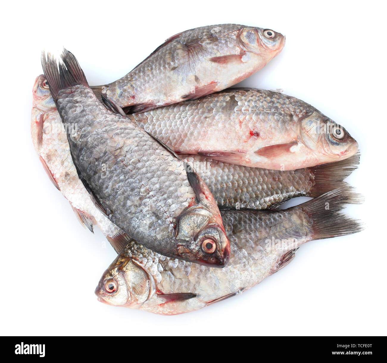 Fresh fishes isolated on white Stock Photo - Alamy