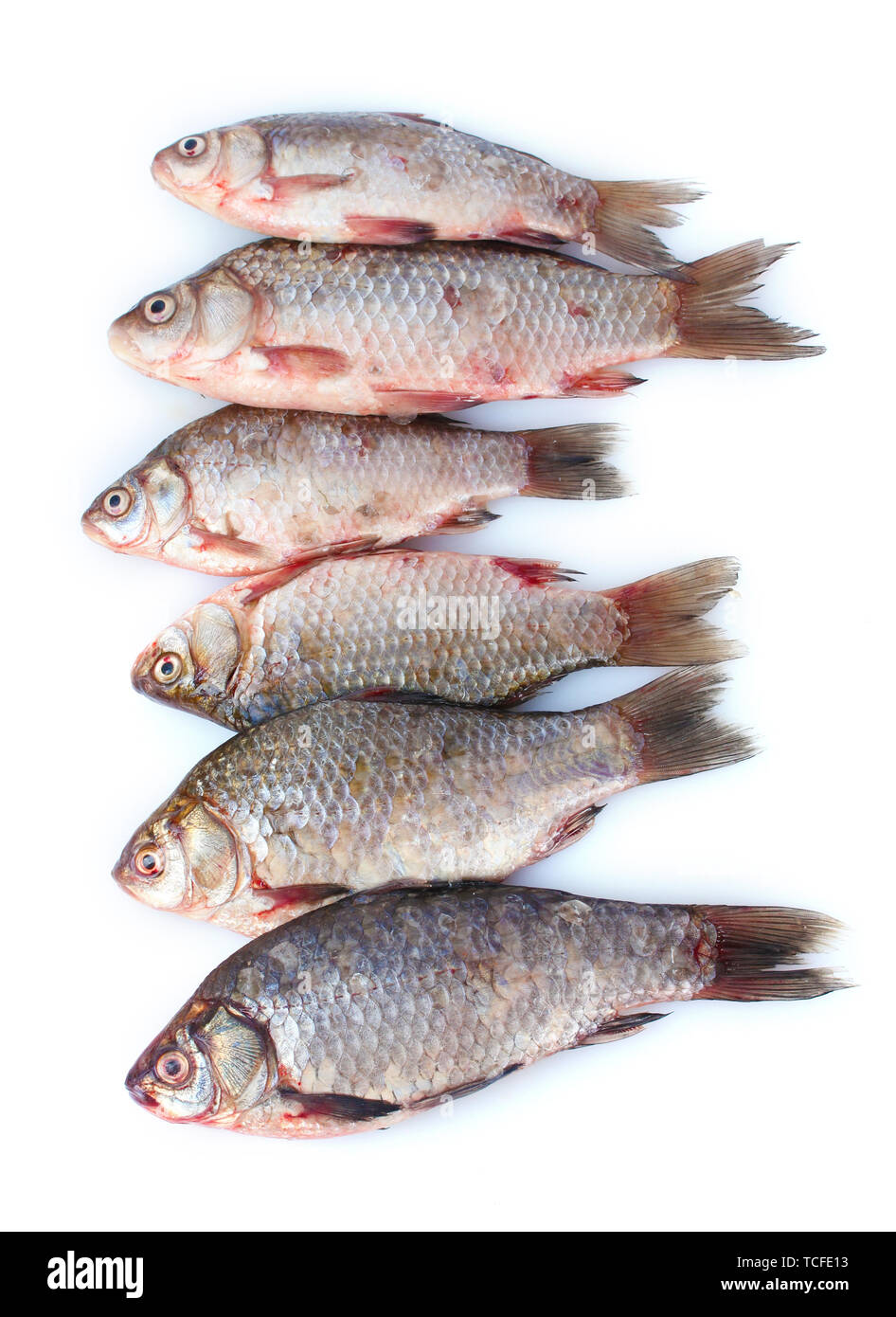 Fresh fishes isolated on white Stock Photo - Alamy