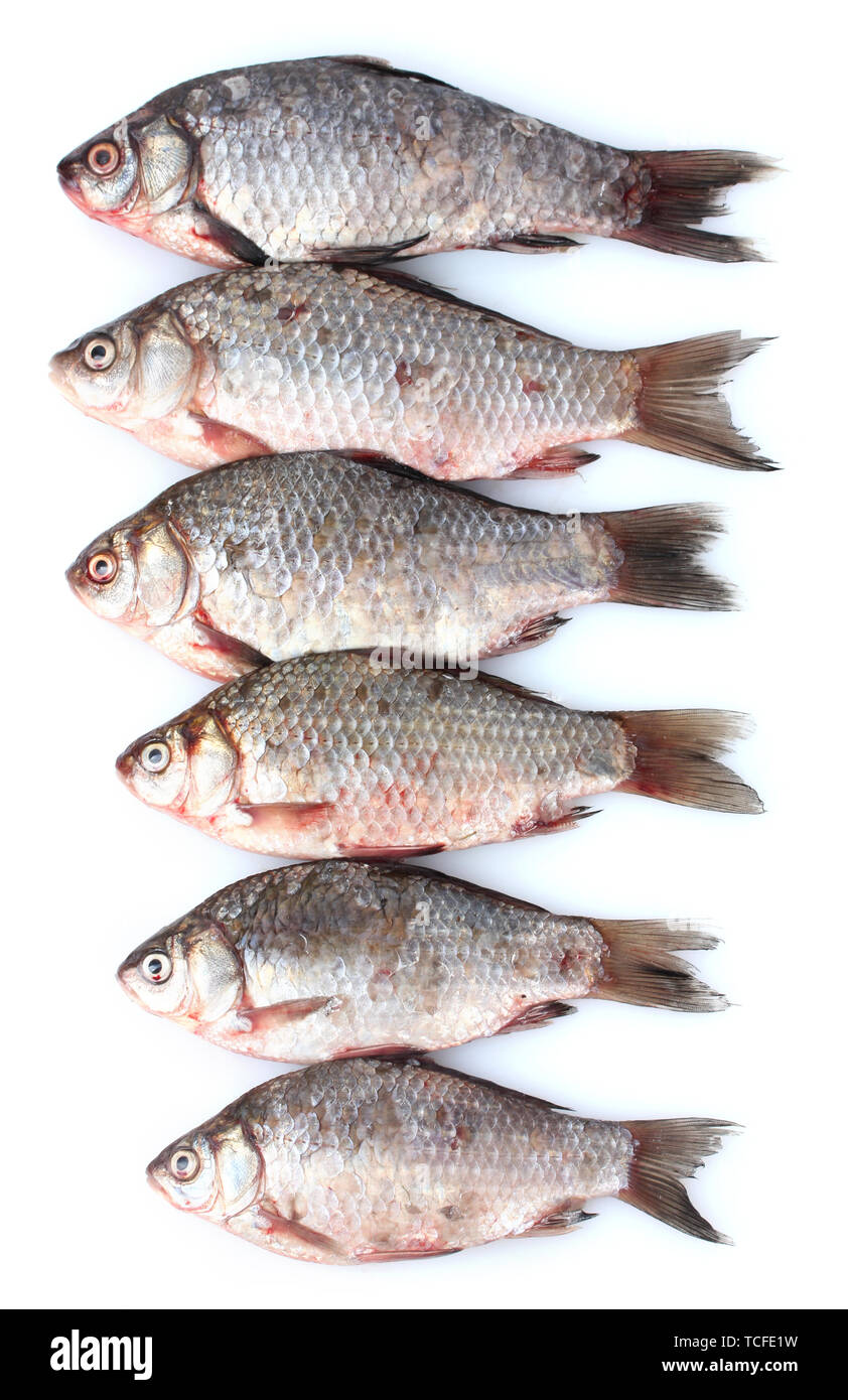 Fresh fishes isolated on white Stock Photo - Alamy