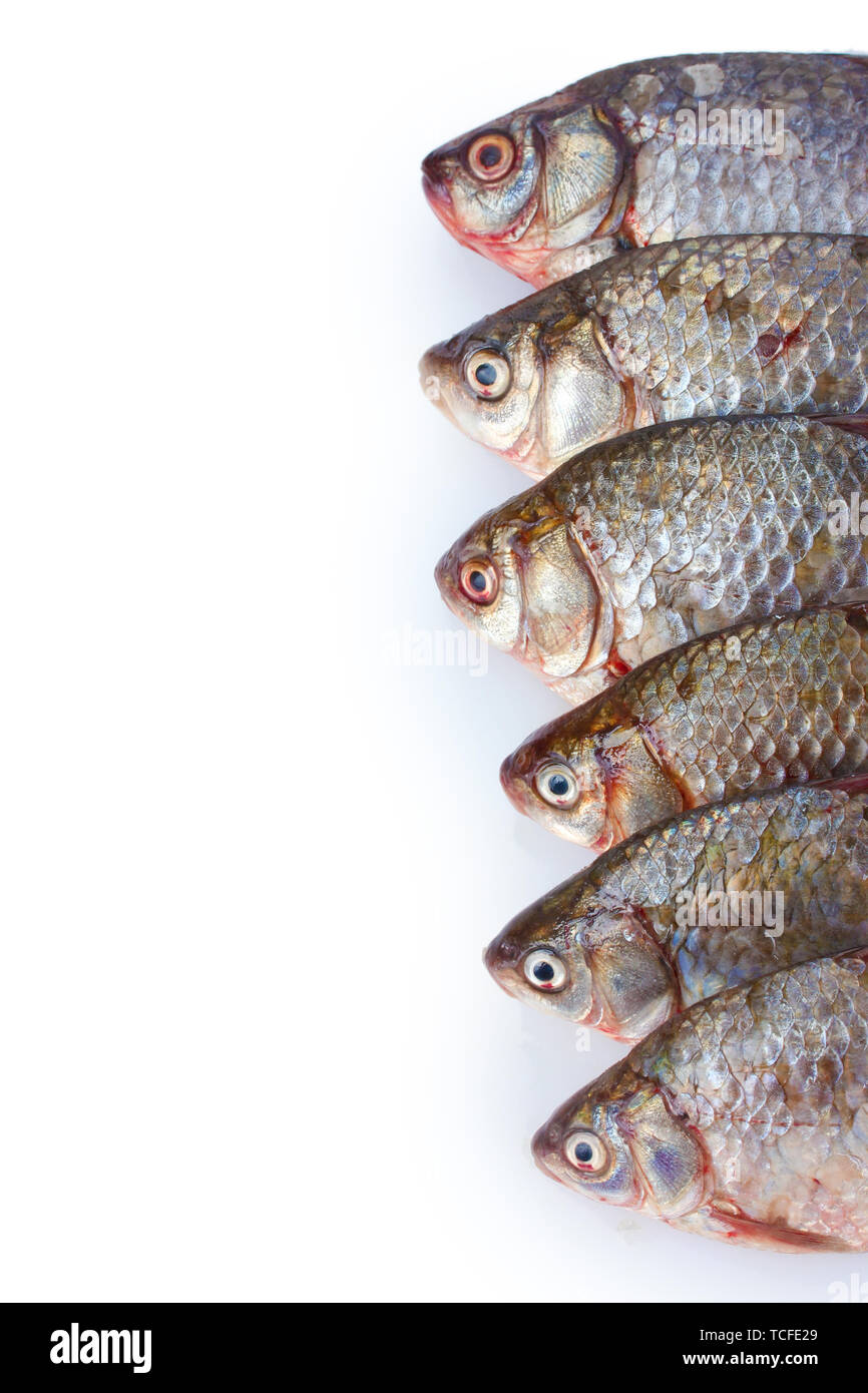 Fresh fishes isolated on white Stock Photo - Alamy
