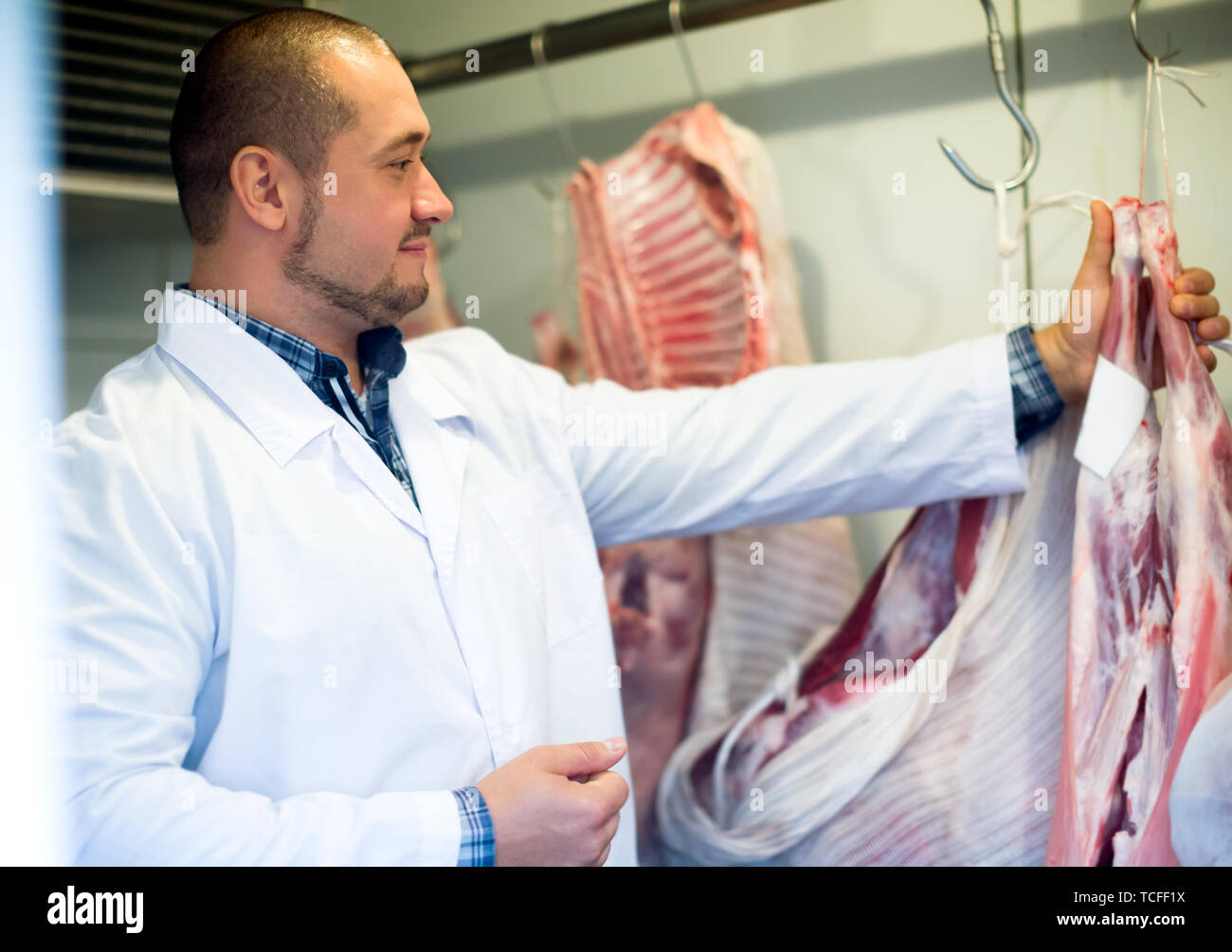 Happy adult male butcher in kosher section at supermarket Stock Photo ...