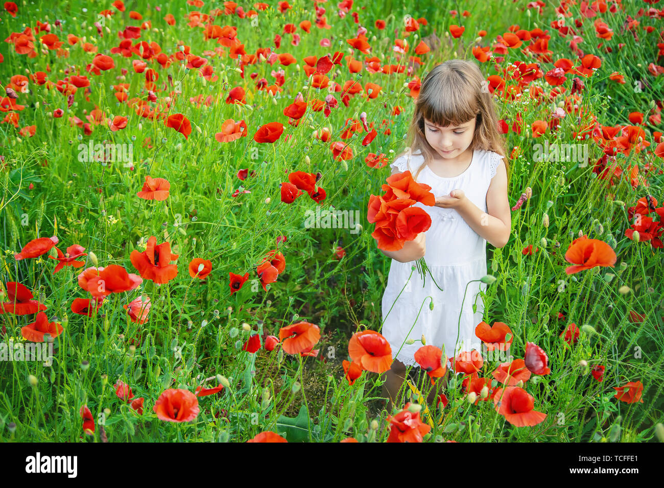 children girl in a field with poppies. selective focus Stock Photo - Alamy