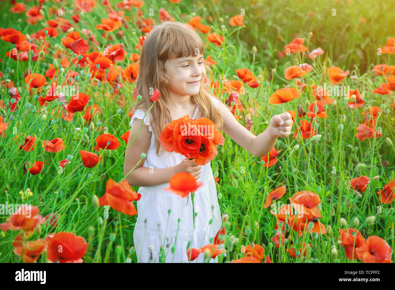 children girl in a field with poppies. selective focus Stock Photo - Alamy