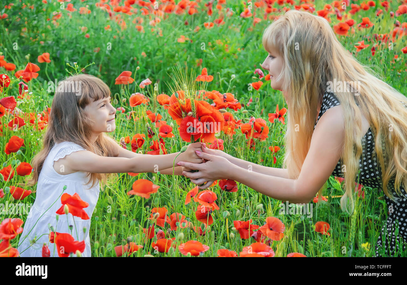 children girl in a field with poppies. selective focus Stock Photo - Alamy