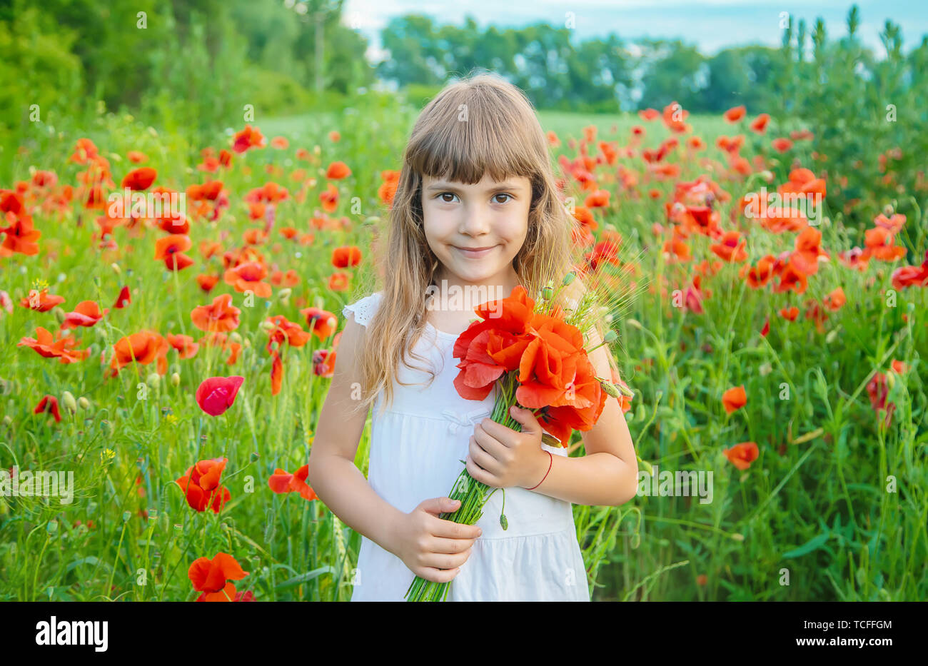 children girl in a field with poppies. selective focus Stock Photo - Alamy