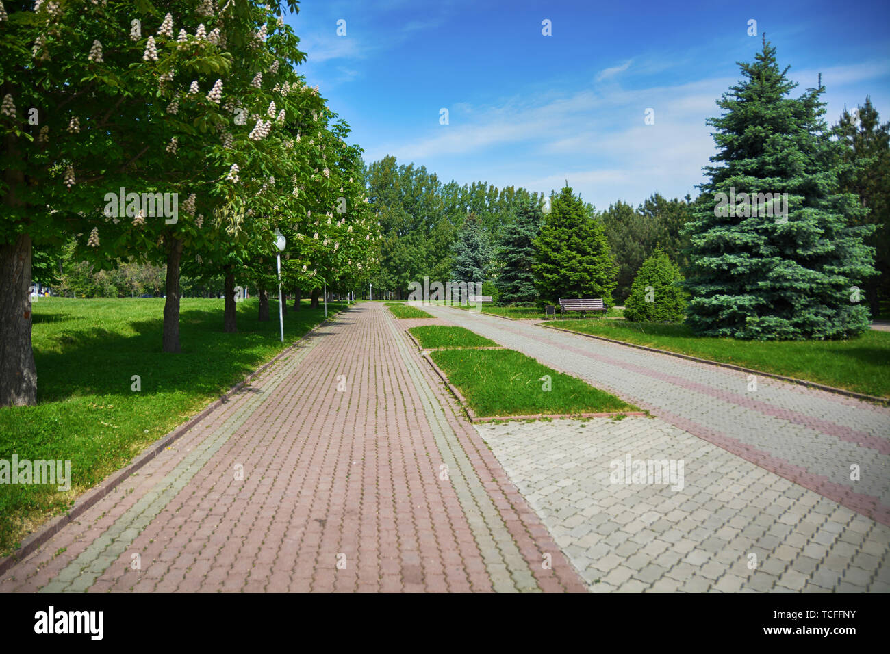 Flat sidewalk hi-res stock photography and images - Alamy
