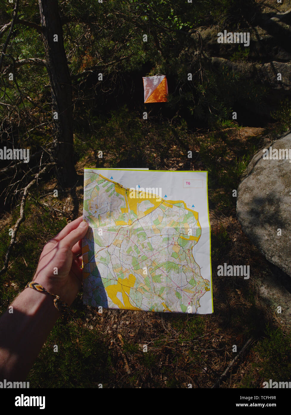 Person check the map within orienteering run. Sportsman running in ...