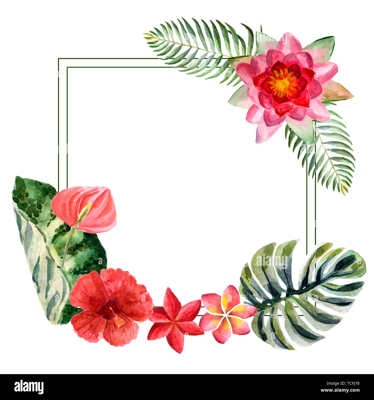 Tropical Flower Border Clip Art
