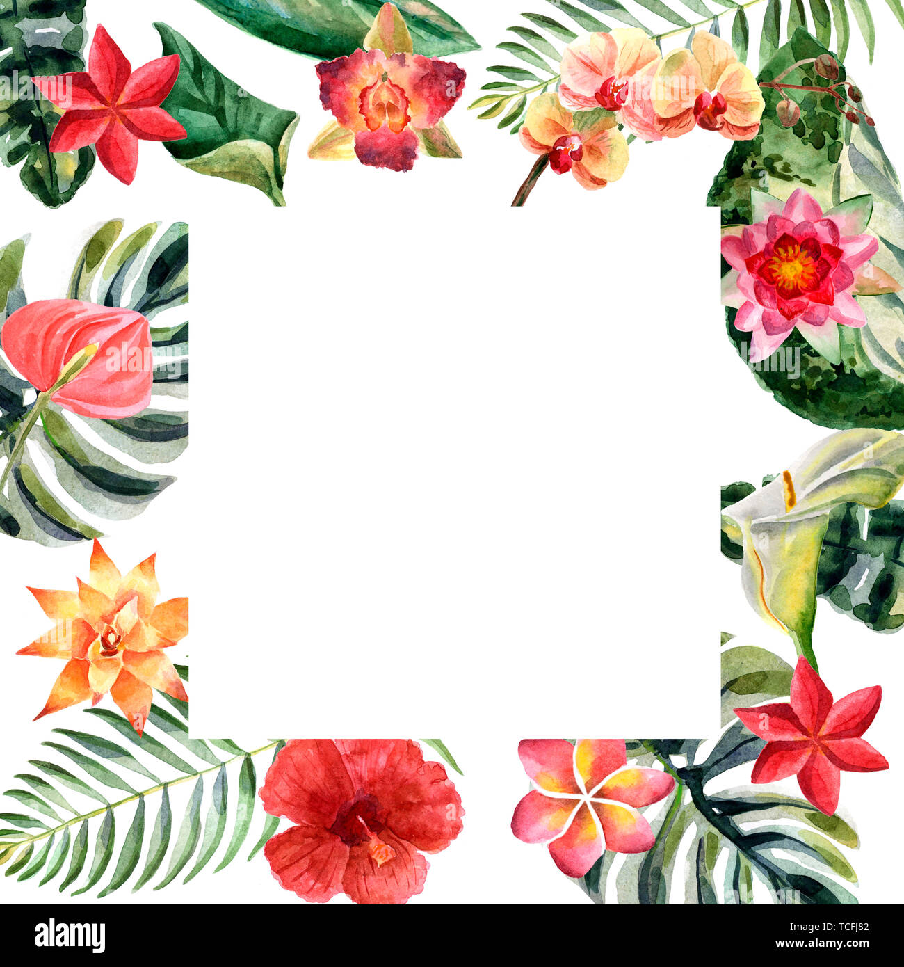 Exotic Flower Borders And Frames
