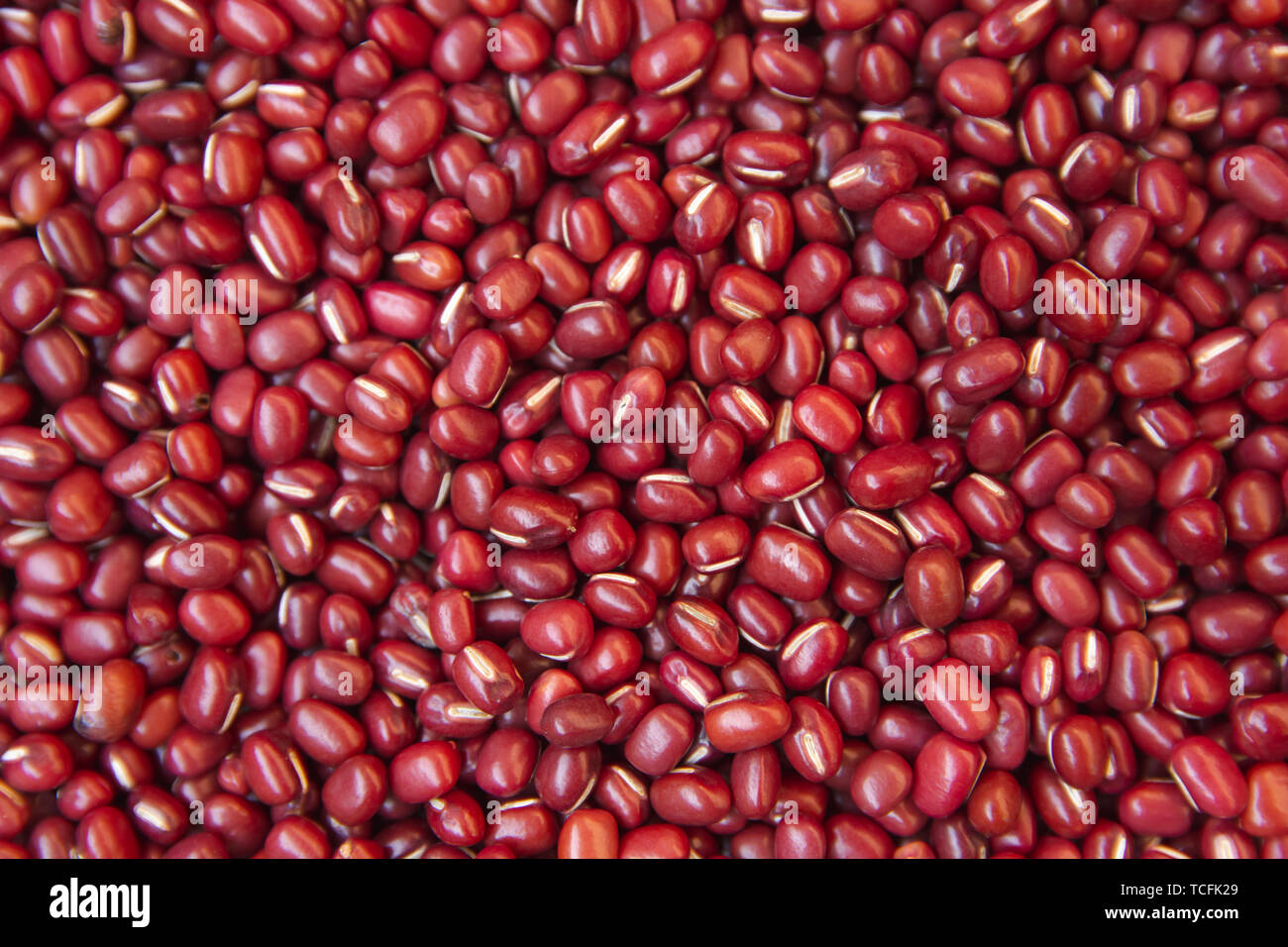 Kidney bean, Red bean background Stock Photo - Alamy