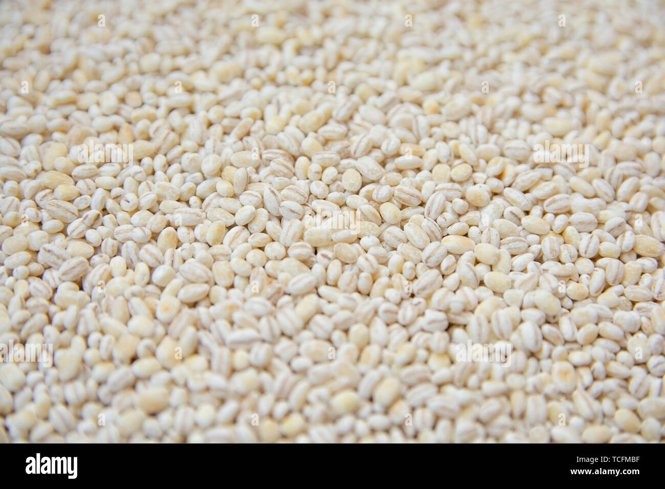 Barley grains background Stock Photo - Alamy
