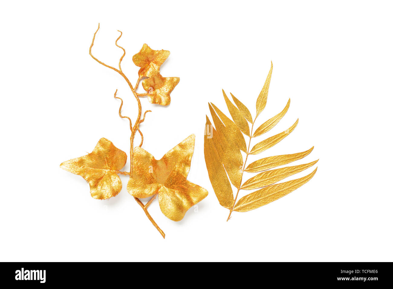 golden leaf design elements Stock Photo - Alamy