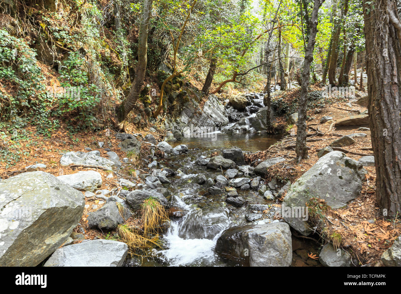 water stream running over rocks Stock Photo - Alamy