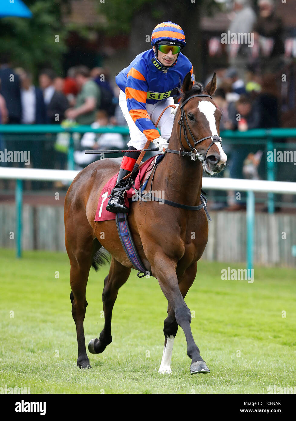Ebf british stallion studs cecil frail hi-res stock photography and ...