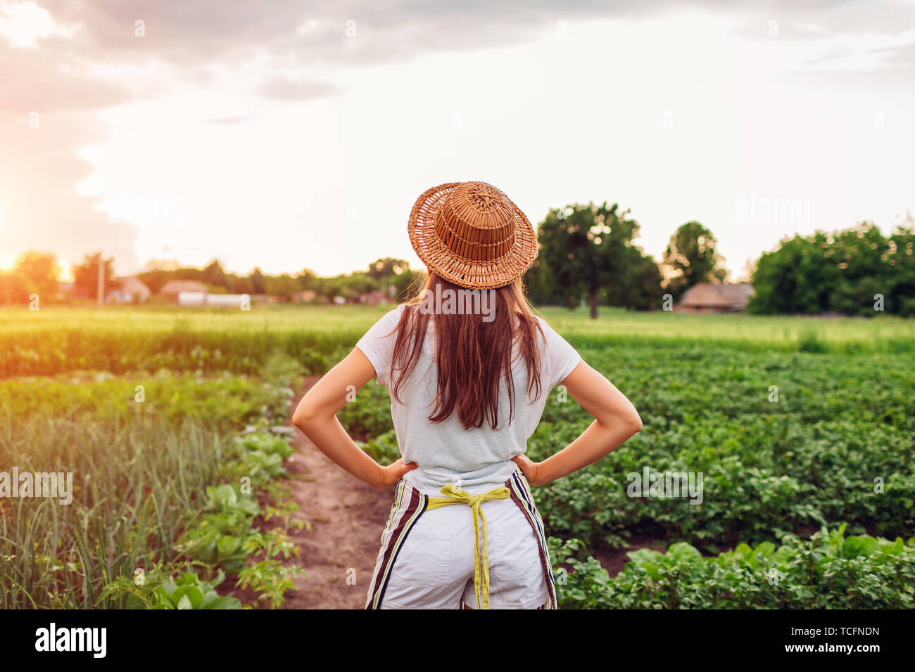 Young woman farmer looking at vegetables on kitchen-garden in ...