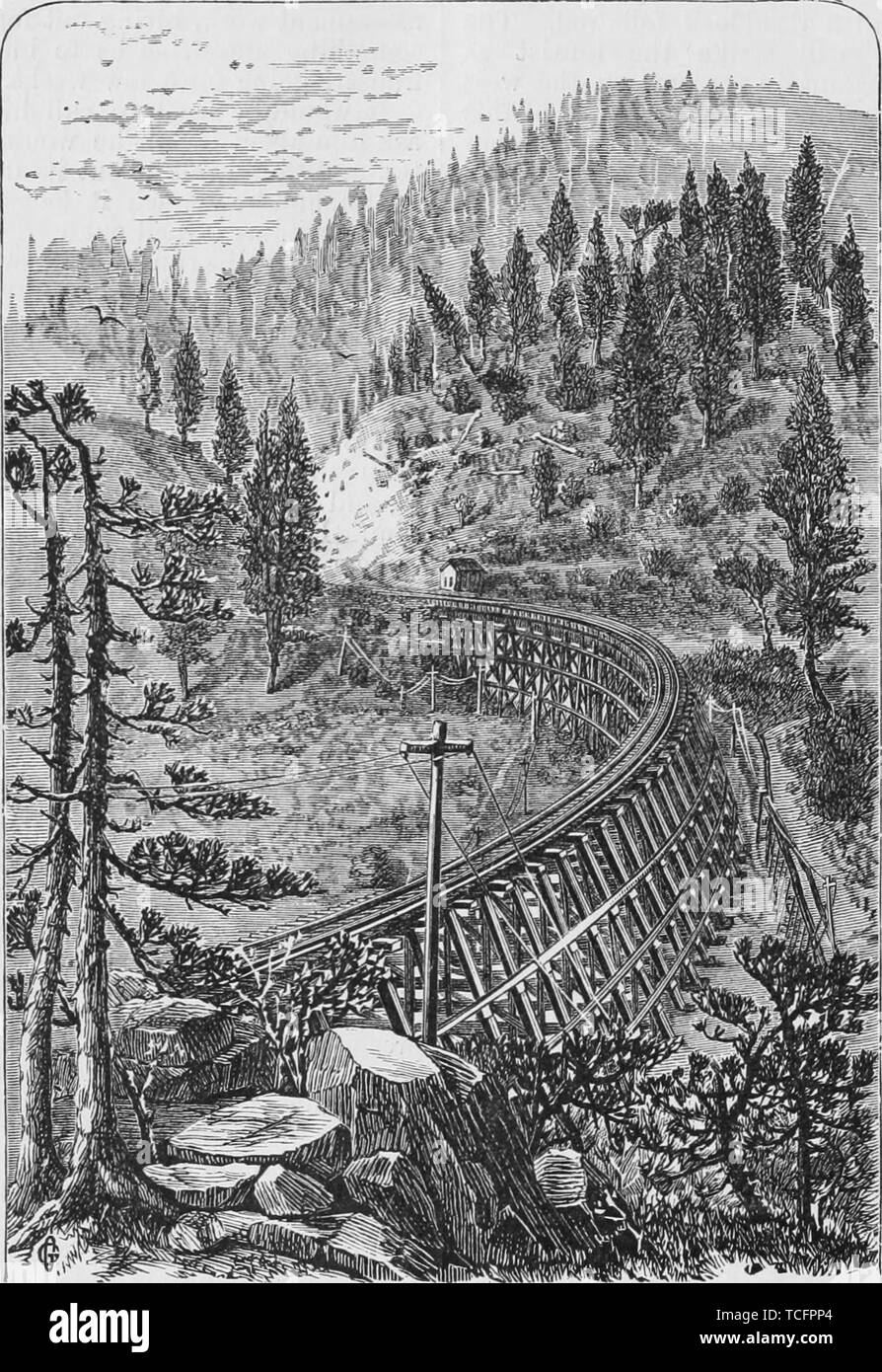 Trestle Suspension Bridge