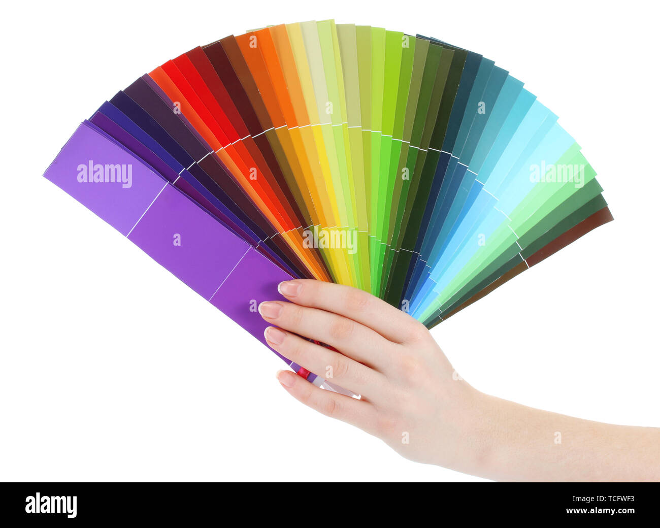 hand holding bright palette of colors isolated on white Stock Photo - Alamy