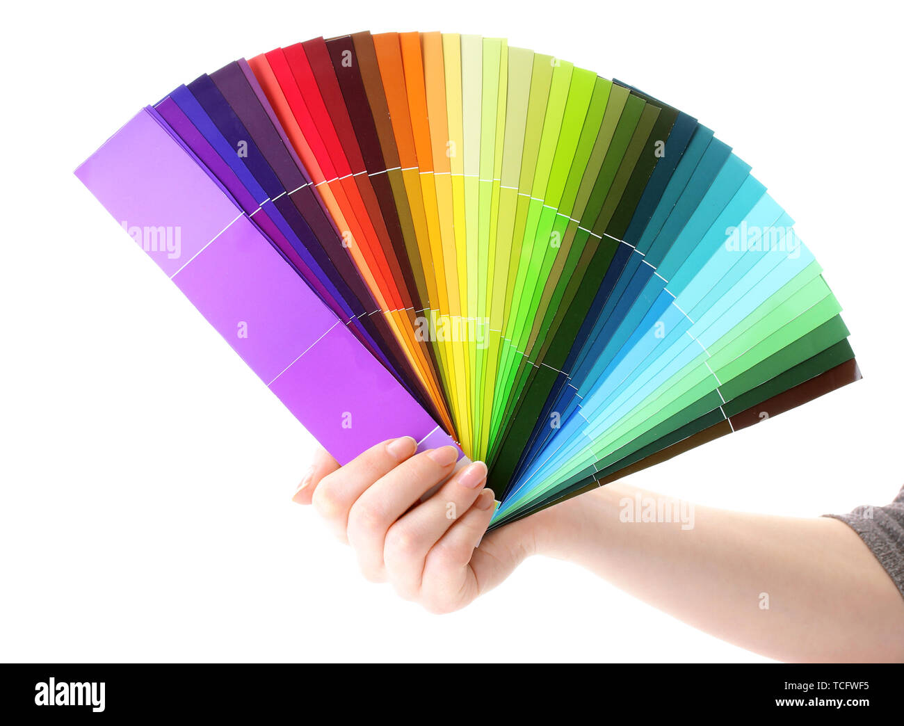 hand holding bright palette of colors isolated on white Stock Photo - Alamy