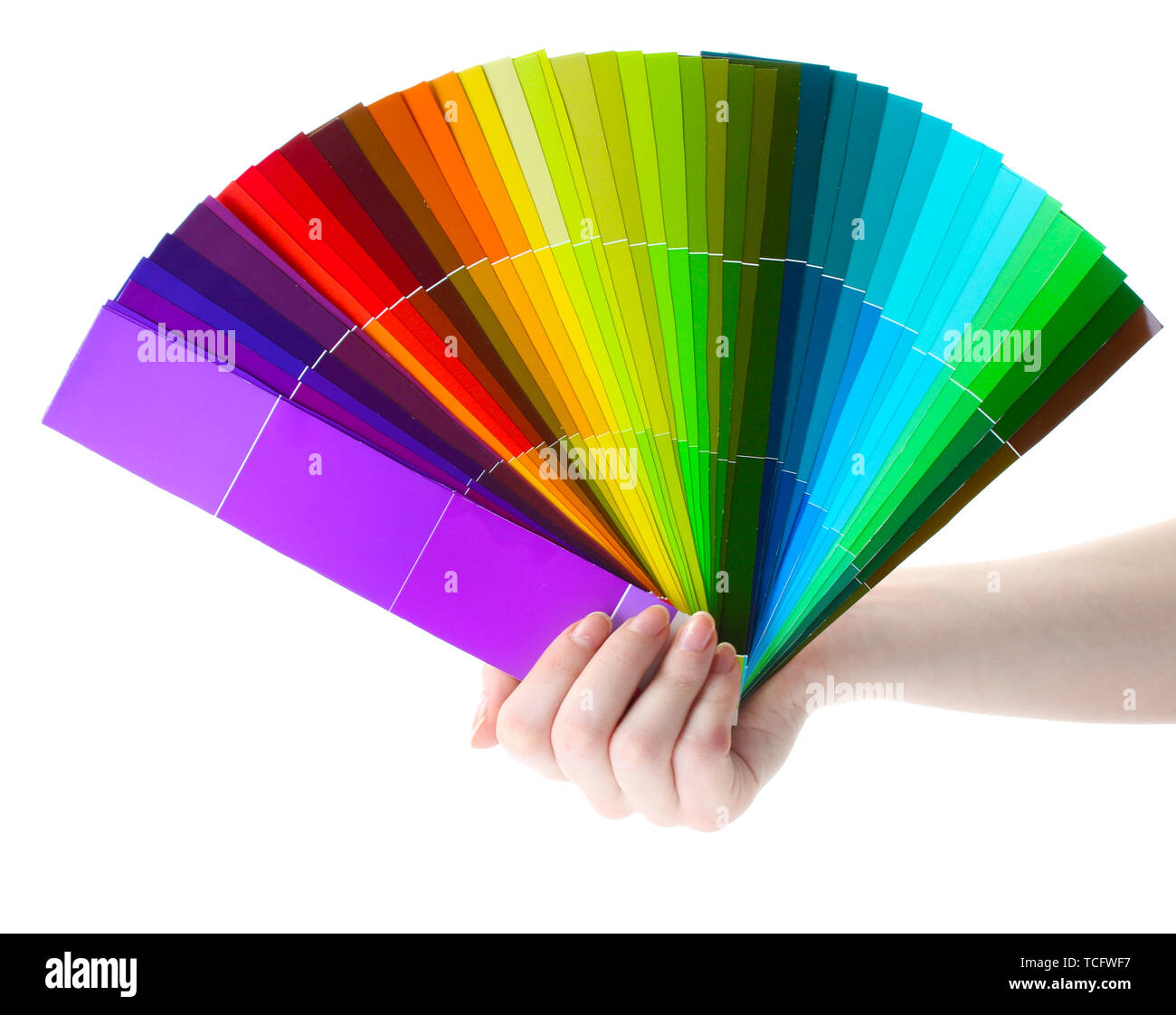 hand holding bright palette of colors isolated on white Stock Photo - Alamy