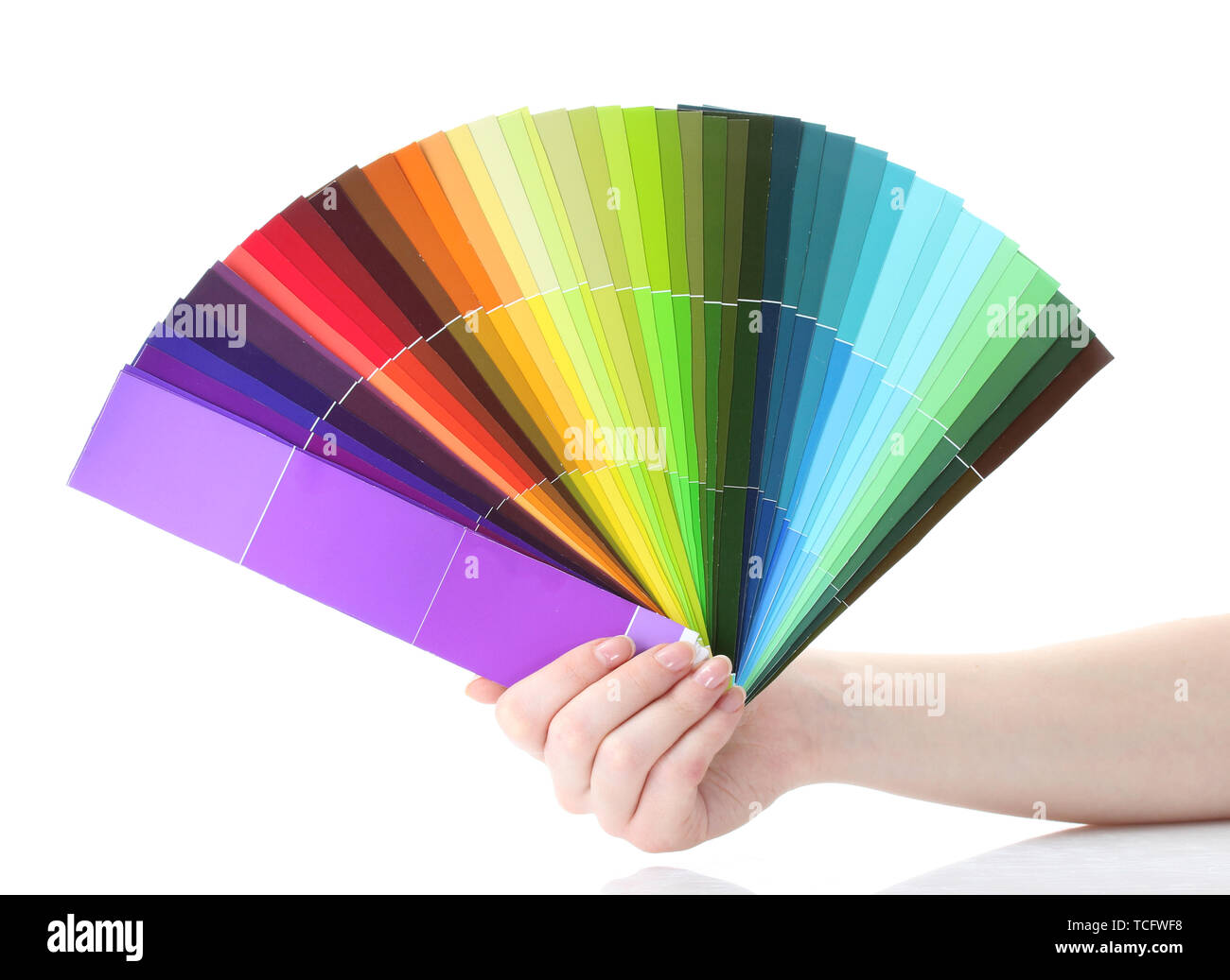 hand holding bright palette of colors isolated on white Stock Photo - Alamy