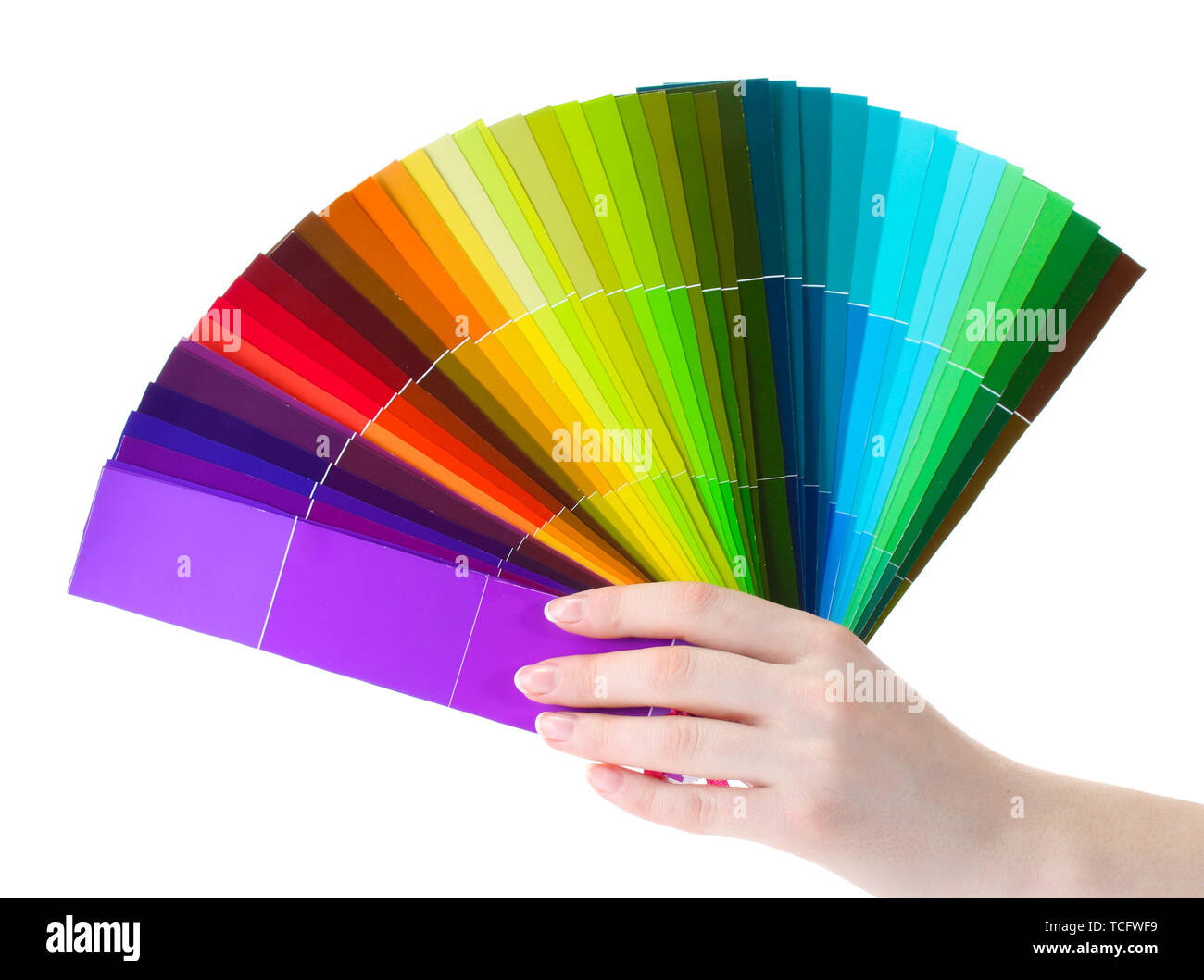 hand holding bright palette of colors isolated on white Stock Photo - Alamy