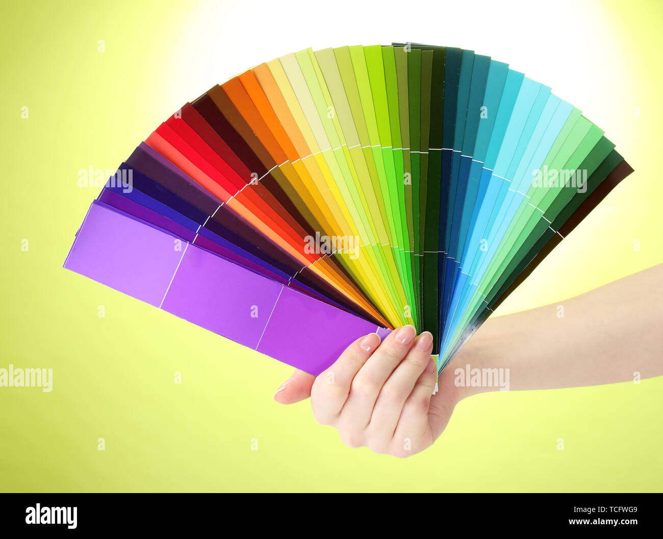 hand holding bright palette of colors on green background Stock Photo ...