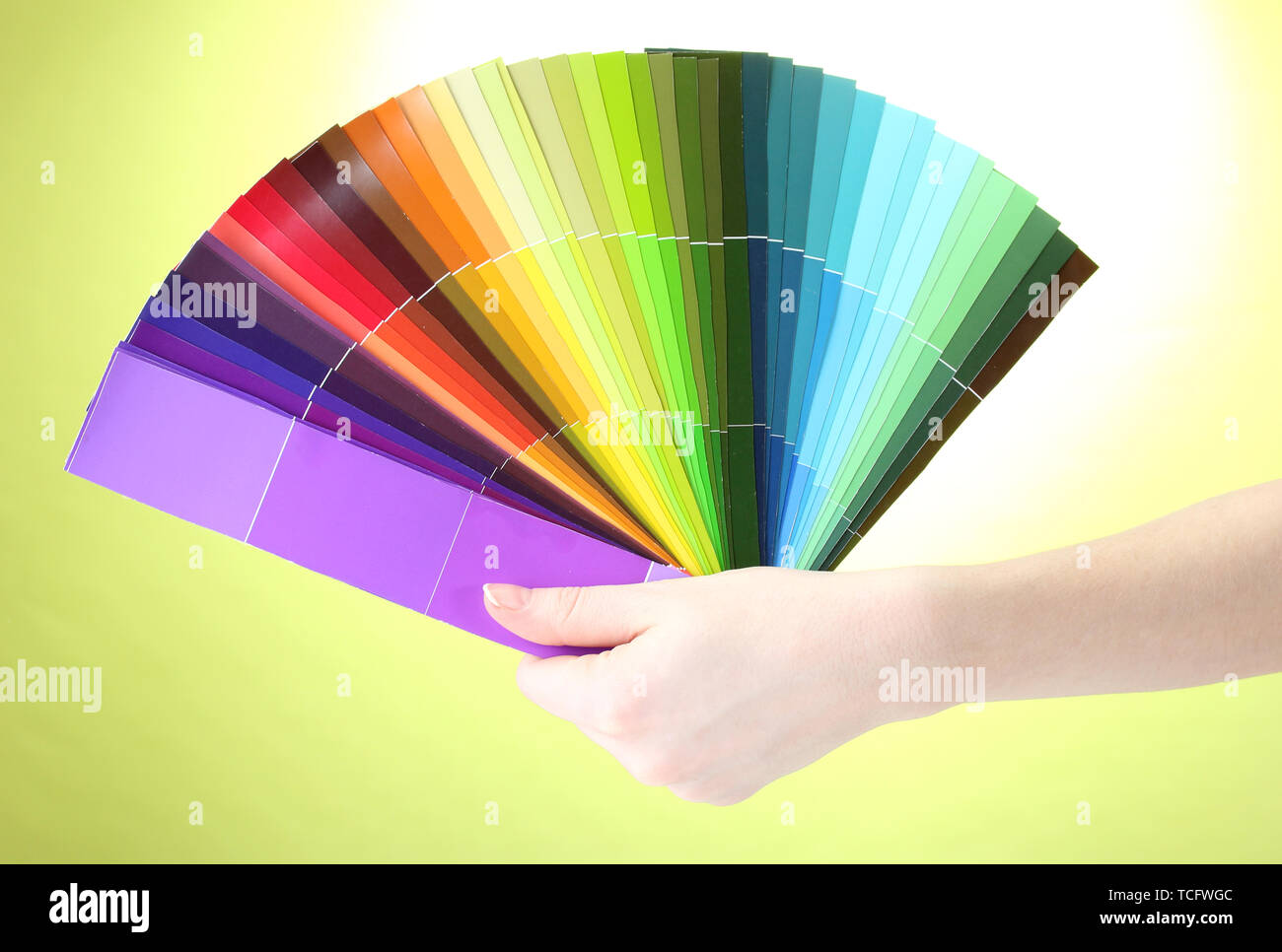 hand holding bright palette of colors on green background Stock Photo ...