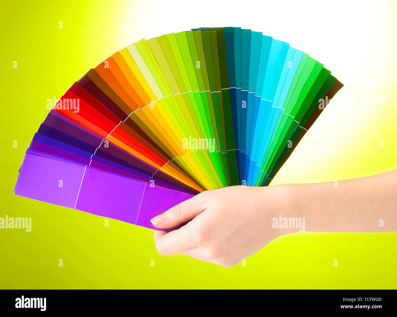 hand holding bright palette of colors on green background Stock Photo ...