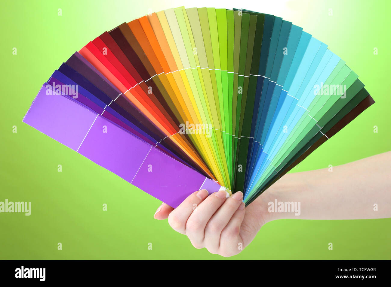hand holding bright palette of colors on green background Stock Photo ...