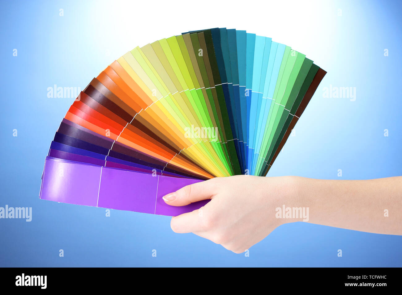 hand holding bright palette of colors on blue background Stock Photo ...