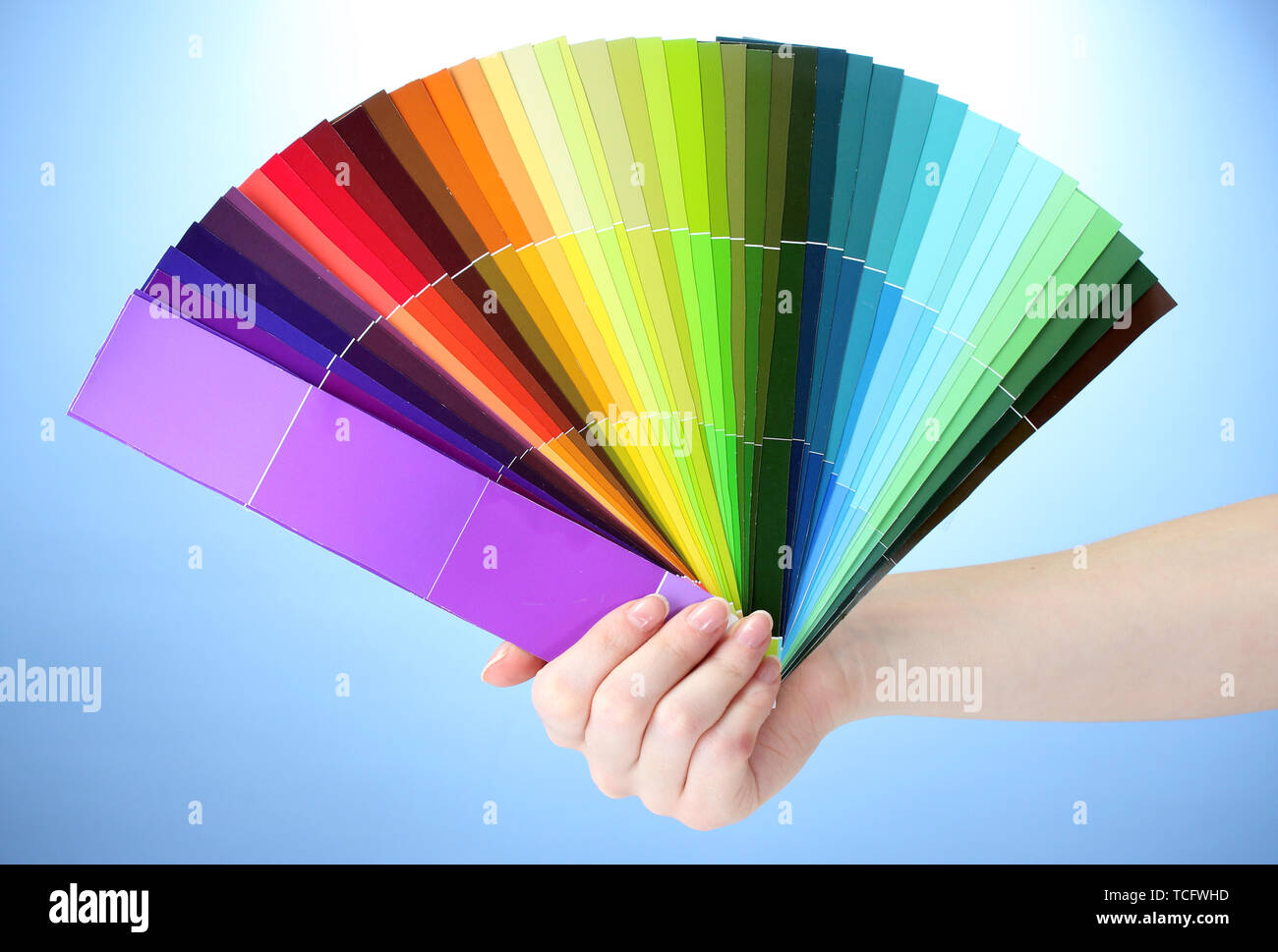 hand holding bright palette of colors on blue background Stock Photo ...